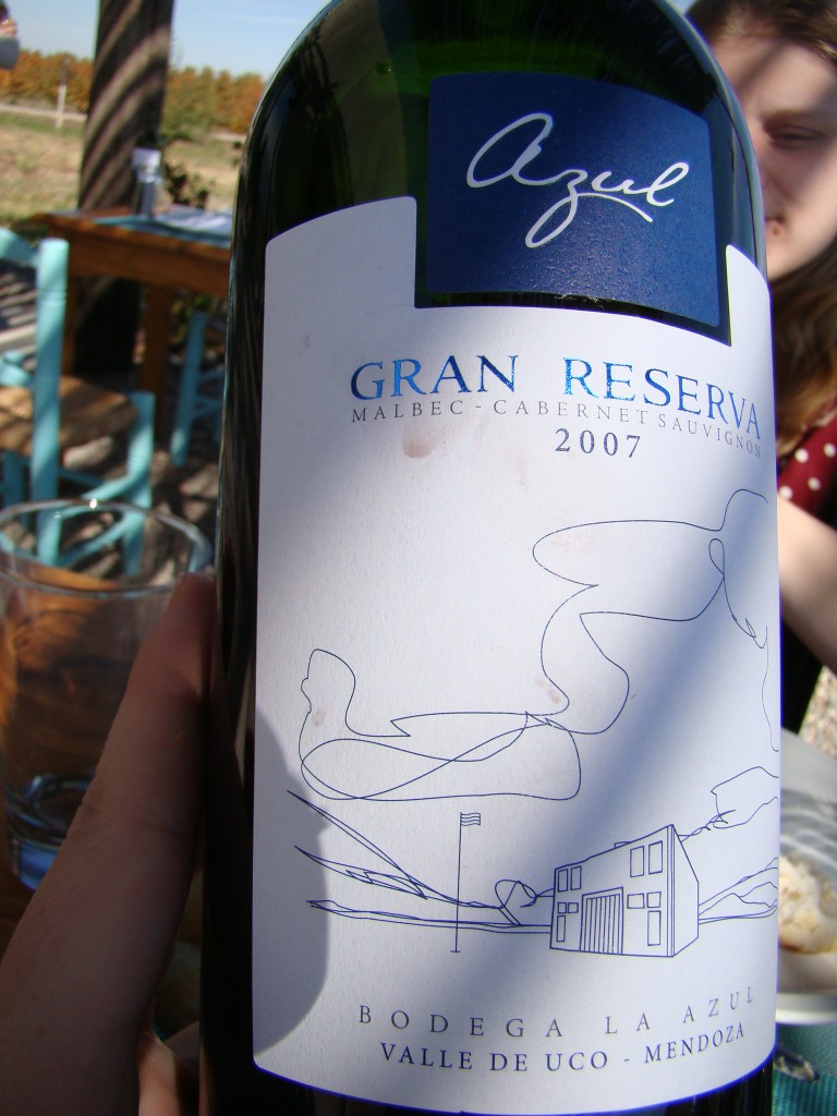 Mendoza Wine Tour: Azul - Heels First Travel