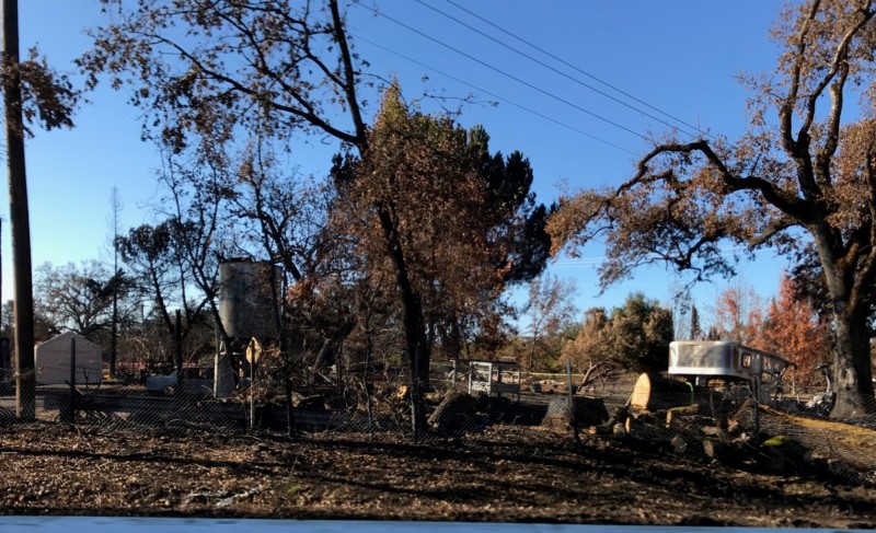 Santa Rosa 101 Fire damage building - Heels First Travel